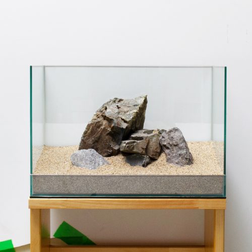 【水槽レイアウトに挑戦】凸型・三角構図編：Tの石組み奮闘記 | AQUALASSIC