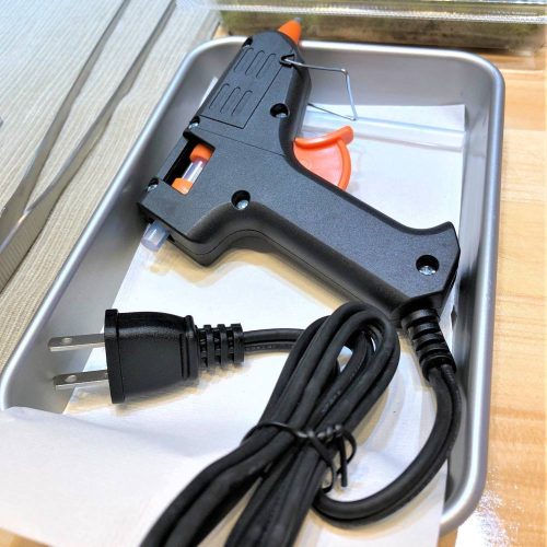 【イベント取材】charm×GEX 苔テラリウムワークショップに行ってきた！ | AQUALASSIC