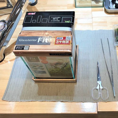 【イベント取材】charm×GEX 苔テラリウムワークショップに行ってきた！ | AQUALASSIC