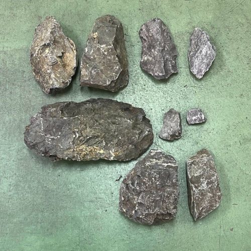 【水槽レイアウトに挑戦】凹型構図編：Tの石組み奮闘記 | AQUALASSIC