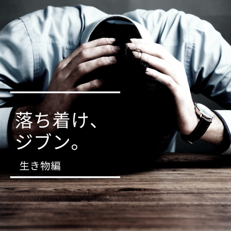 ホース径から選ぶ！適合一覧早見表 | AQUALASSIC