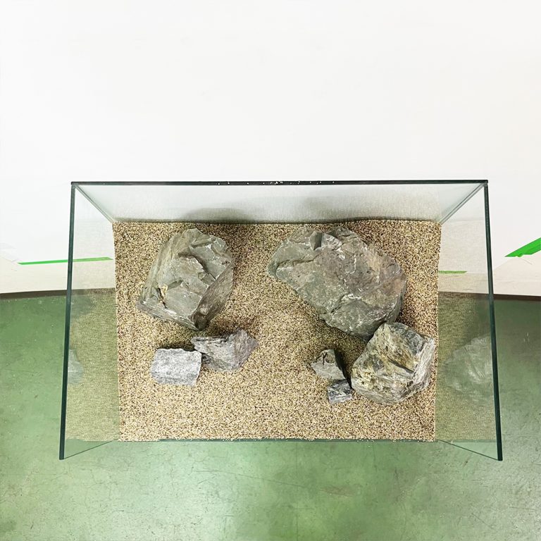 【水槽レイアウトに挑戦】凹型構図編：Tの石組み奮闘記 | AQUALASSIC