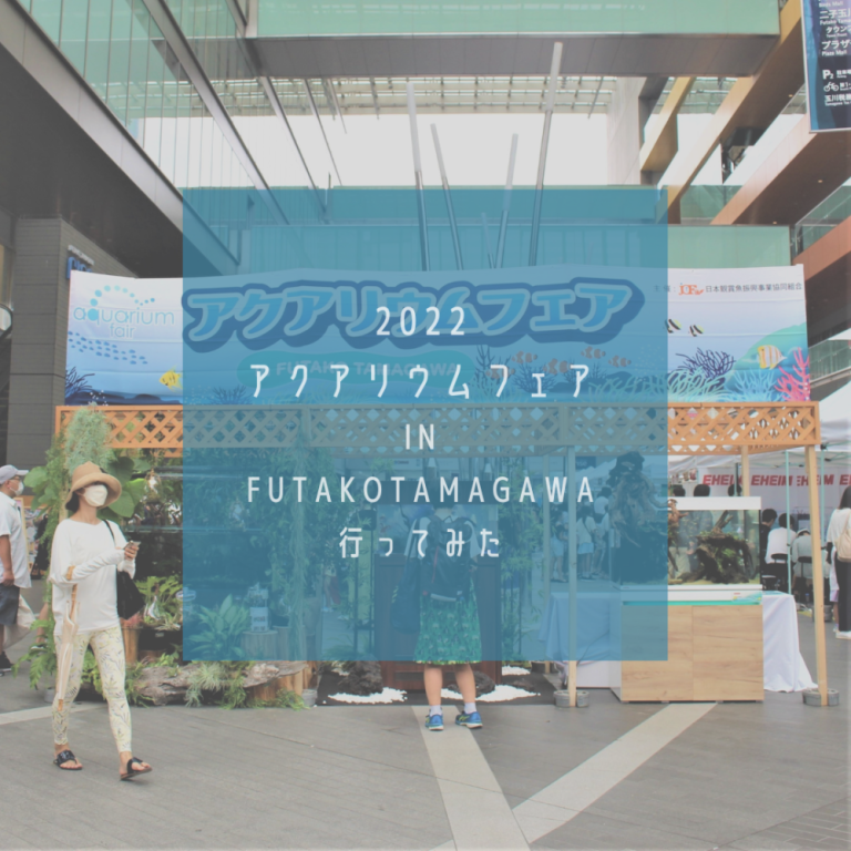 5分でわかる！症状から判別できる金魚の病気＜金魚の教室3限目＞ | AQUALASSIC