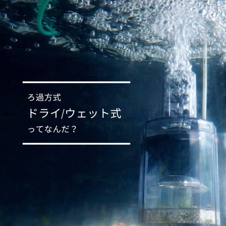 GH（総硬度）について | AQUALASSIC