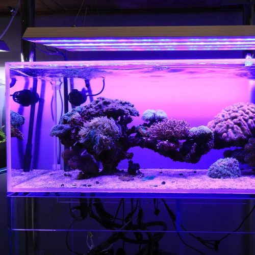 水草用ライトの決定版。アクロLEDライトの違いを知る徹底比較。 | AQUALASSIC