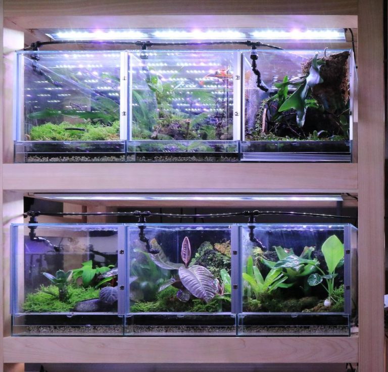 水草用ライトの決定版。アクロLEDライトの違いを知る徹底比較。 | AQUALASSIC