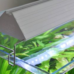 水草用ライトの決定版。アクロLEDライトの違いを知る徹底比較。 | AQUALASSIC