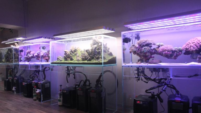 水草用ライトの決定版。アクロLEDライトの違いを知る徹底比較。 | AQUALASSIC