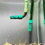 スポンジフィルター 解説 | AQUALASSIC