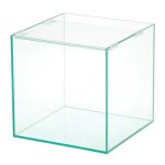 清流の使者・サワガニ＜カニ解説＞ | AQUALASSIC