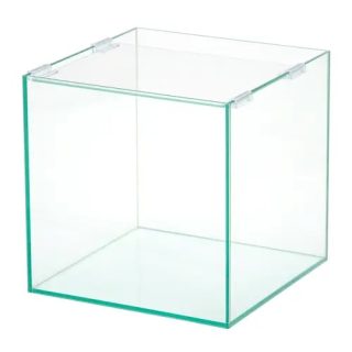 フネアマ貝は貝類No.1コケ除去職人！ | AQUALASSIC