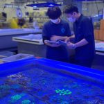 アクアリウムショップcharm中の人がこっそりおすすめするグッズ | AQUALASSIC