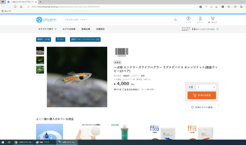 アクアリウムの撮影カメラマン＜charmの匠＞ | AQUALASSIC
