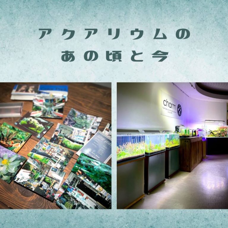 ホース径から選ぶ！適合一覧早見表 | AQUALASSIC