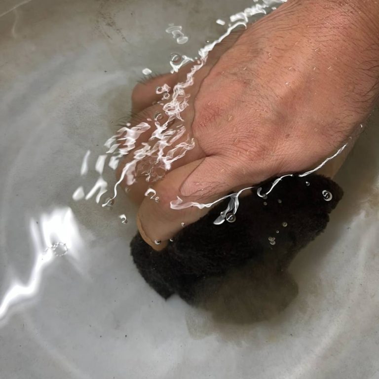 スポンジフィルター 解説 | AQUALASSIC