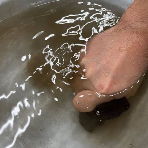 スポンジフィルター 解説 | AQUALASSIC