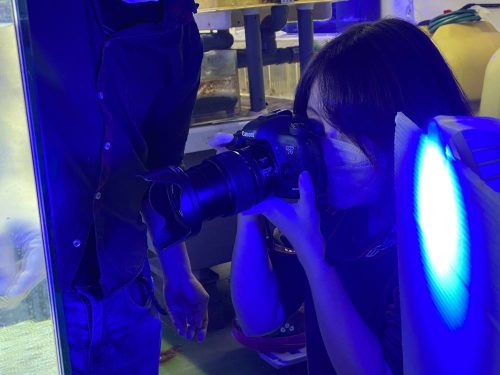 アクアリウムの撮影カメラマン＜charmの匠＞ | AQUALASSIC