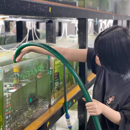 アクアリウムショップcharm中の人がこっそりおすすめするグッズ | AQUALASSIC