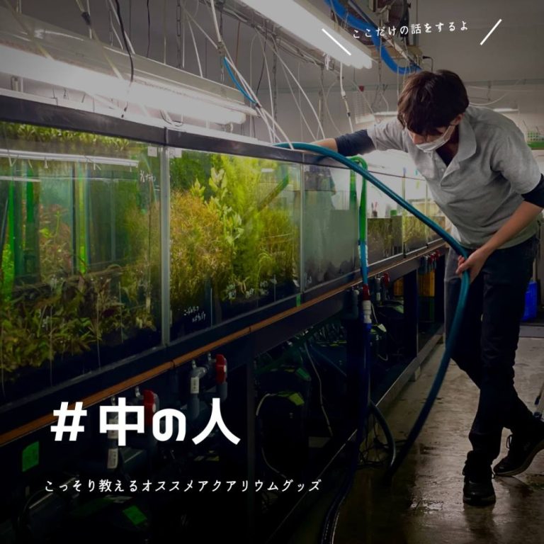 GH（総硬度）について | AQUALASSIC