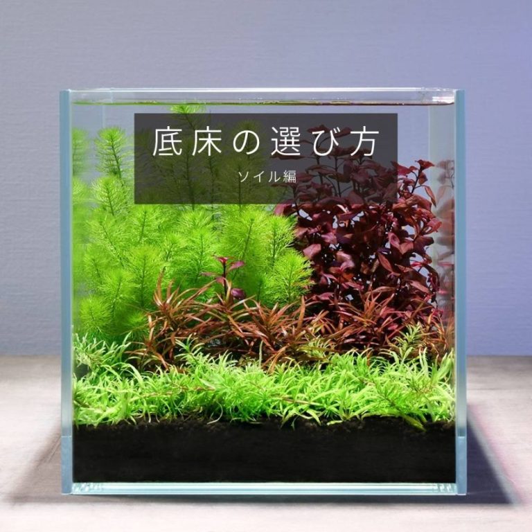 GH（総硬度）について | AQUALASSIC