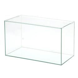 フネアマ貝は貝類No.1コケ除去職人！ | AQUALASSIC