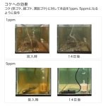 水の黄ばみと濁りの原因 | AQUALASSIC