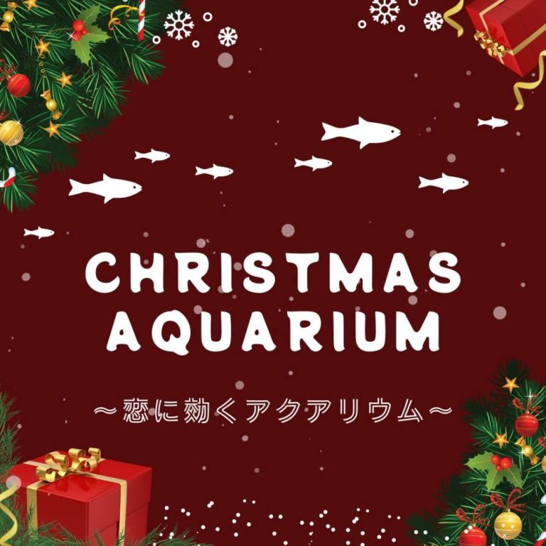 5分でわかる！金魚の尾ビレの魅力＜金魚の教室6限目＞ | AQUALASSIC