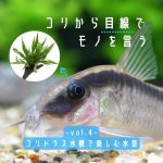 コリから目線でモノを言う vol.4 コリドラス水槽で楽しむ水草 | AQUALASSIC