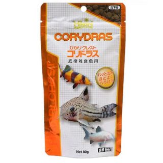 コリから目線でモノを言う vol.7 コリドラスとコケ対策 | AQUALASSIC