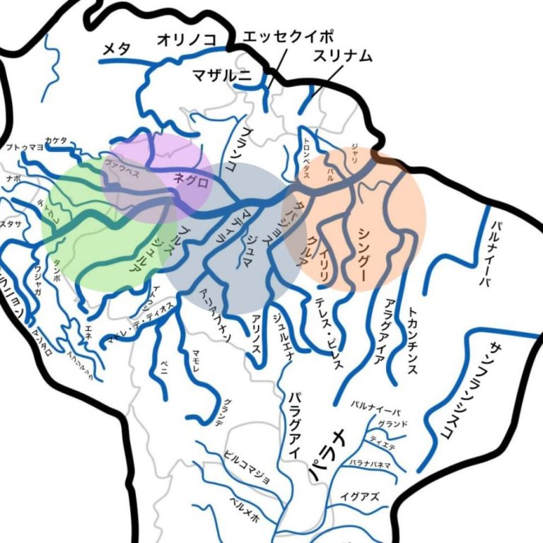 ディスカス＜熱帯魚解説＞ | AQUALASSIC