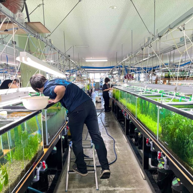 アクアリウムショップcharm中の人がこっそりおすすめするグッズ | AQUALASSIC