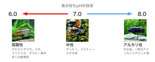 pHについて | AQUALASSIC