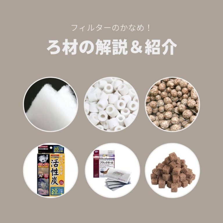 GH（総硬度）について | AQUALASSIC