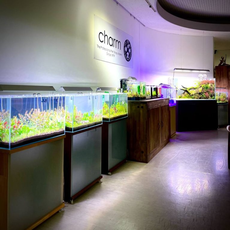 アクアリウムショップcharm中の人がこっそりおすすめするグッズ | AQUALASSIC