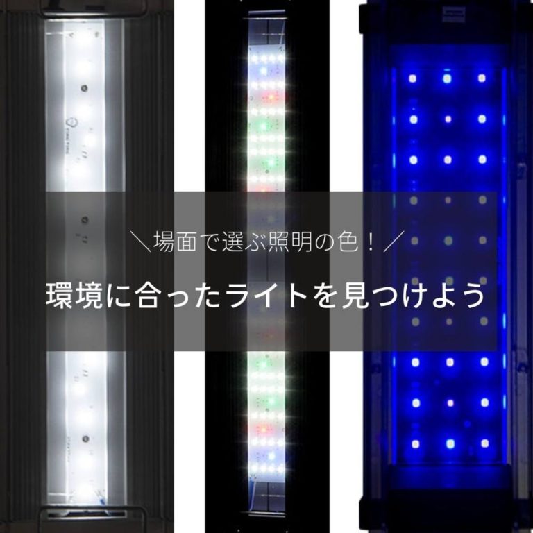 場面で選ぶ照明の色！環境に合ったライトを見つけよう | AQUALASSIC