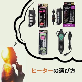 AQUALASSIC（アクアラシック） | ページ 15