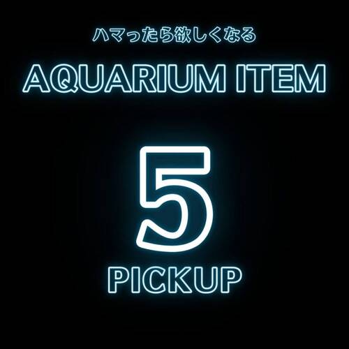 見やすいのは当たり前！すごい水温計5選 | AQUALASSIC