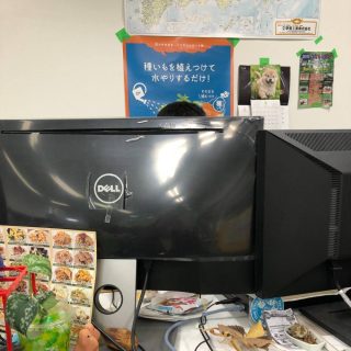 アクアリウムショップcharm中の人がこっそりおすすめするグッズ | AQUALASSIC