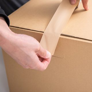 これだけは絶対やめよう メダカ飼育者の心得 放流Q&A | AQUALASSIC