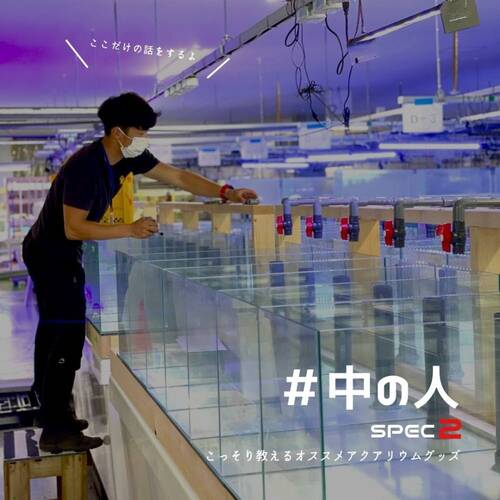 GH（総硬度）について | AQUALASSIC