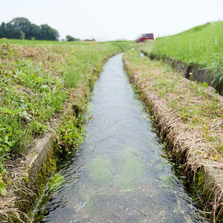 切っても切れないアクアリウムとプラナリア | AQUALASSIC