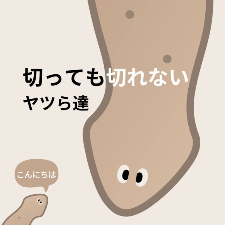 切っても切れないアクアリウムとプラナリア | AQUALASSIC