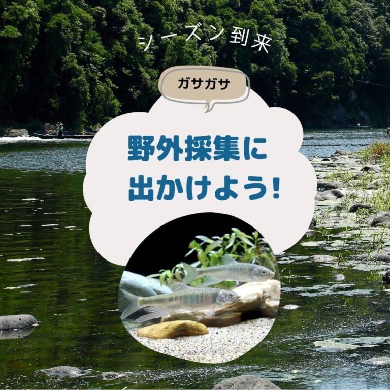 GH（総硬度）について | AQUALASSIC