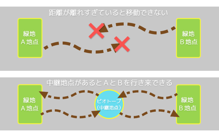 ビオトープ解説vol.1 ビオトープの概念をちょっと真面目に解説してみた | AQUALASSIC