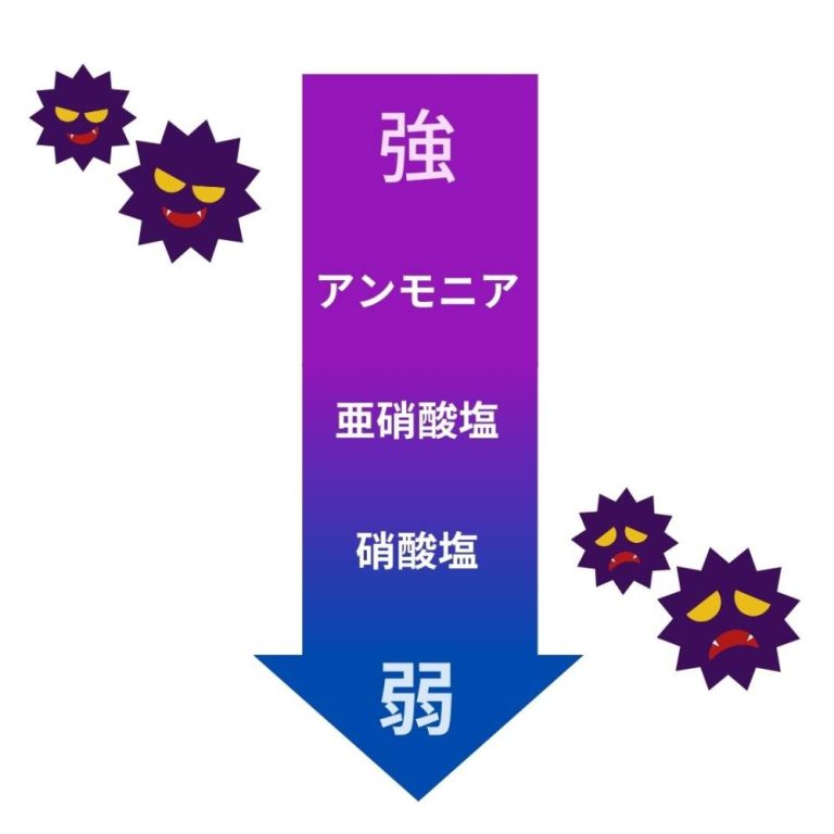 よく聞くアンモニア・亜硝酸塩・硝酸塩ってなに？＜アクアリウム用語解説＞ | AQUALASSIC