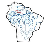 コリから目線でモノを言う vol.13 ネグロ川のコリドラス | AQUALASSIC