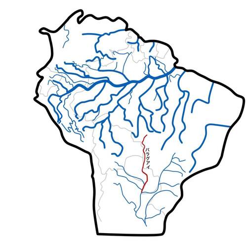 コリから目線でモノを言う vol.15 パラナ川のコリドラス | AQUALASSIC