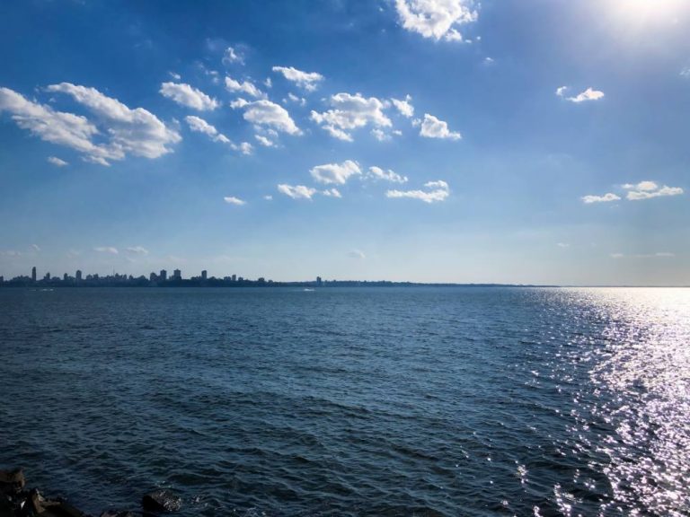 コリから目線でモノを言う vol.15 パラナ川のコリドラス | AQUALASSIC