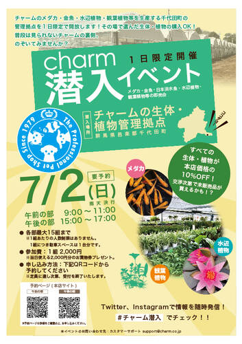 チャーム潜入イベント開催！ | AQUALASSIC