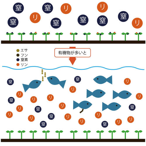 リン・リン酸について | AQUALASSIC